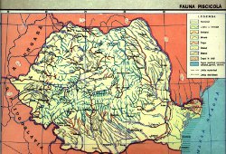 Atlasul Geografic General al Romaniei 1980 – GeoTutorials