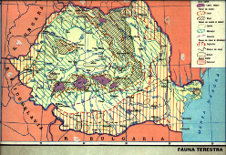 Atlasul Geografic General al Romaniei 1980 – GeoTutorials